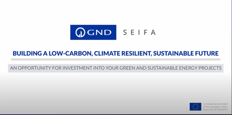 SEIFA project – Value Proposition for Investees – Particula Group